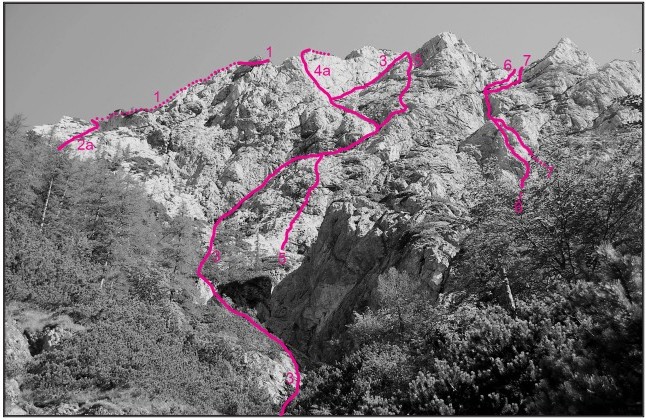 Direktni izstop grape ob steni | Slovenske stene